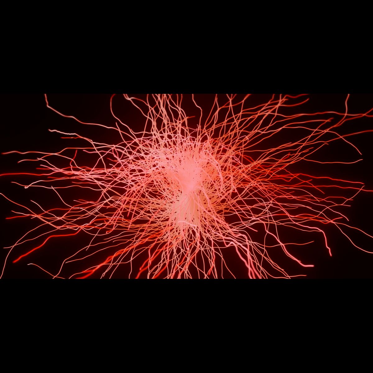 The promise and peril of AI